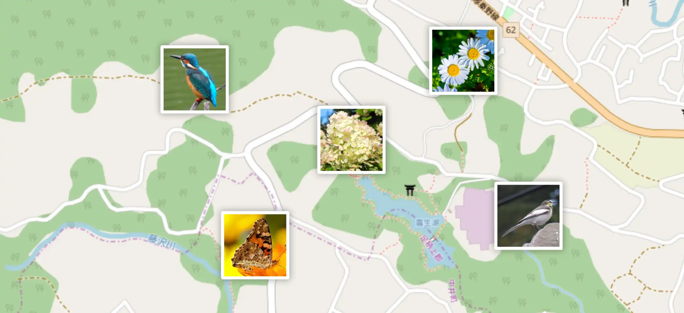 If you record the location where the photo was taken